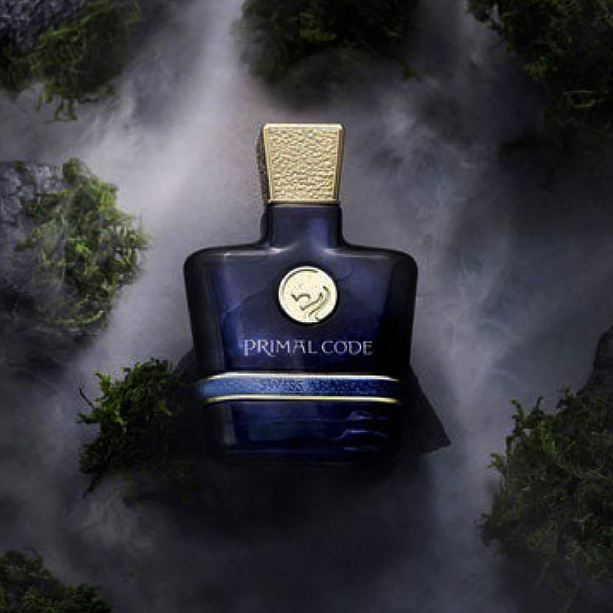 PRIMAL CODE 1070 100ML EDP SA - Gran Chapur